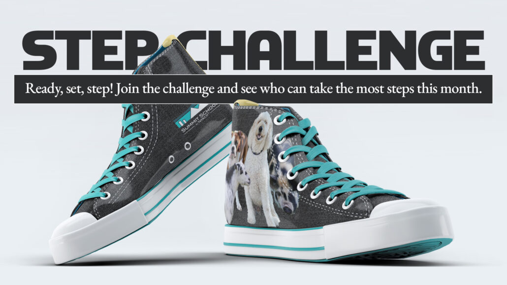 Step Challenge - Summit School