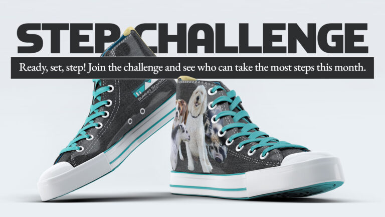Step Challenge - Summit School
