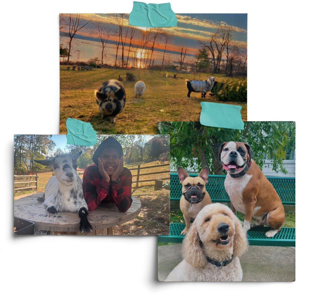 Summit School Animal Care Program | Growth Through Responsibility